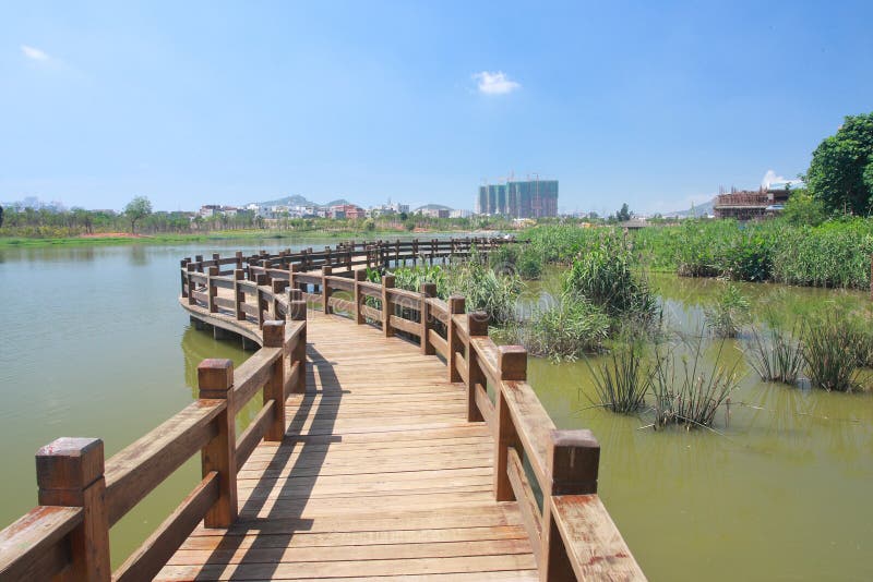 Wood path on water stock image. Image of park, xiamen - 5528925