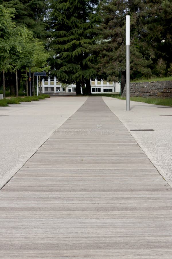 Wood path way stock photo. Image of green, boardwalk - 28070014