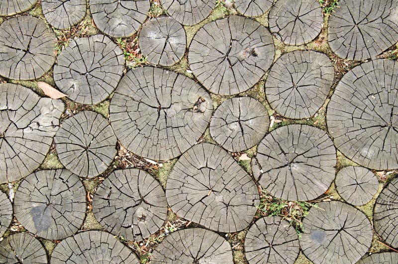 Wood pathway stock photo. Image of texture, cracked, surface - 21036026