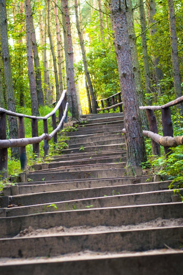Wood pathway stock image. Image of colour, light, outdoor - 28371733