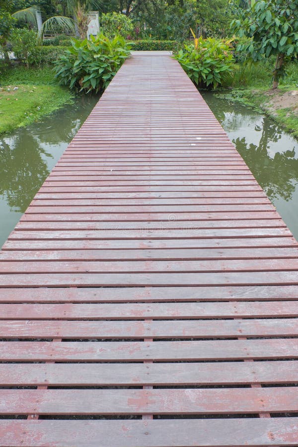 Wood pathway stock image. Image of park, plant, nature - 69553043
