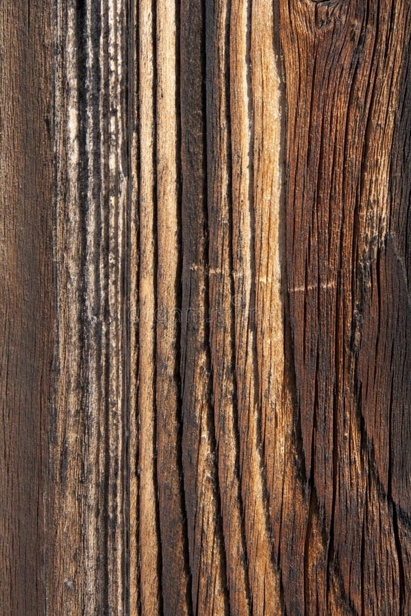 Wood pattern stock photo. Image of floor, decor, ground - 16322052