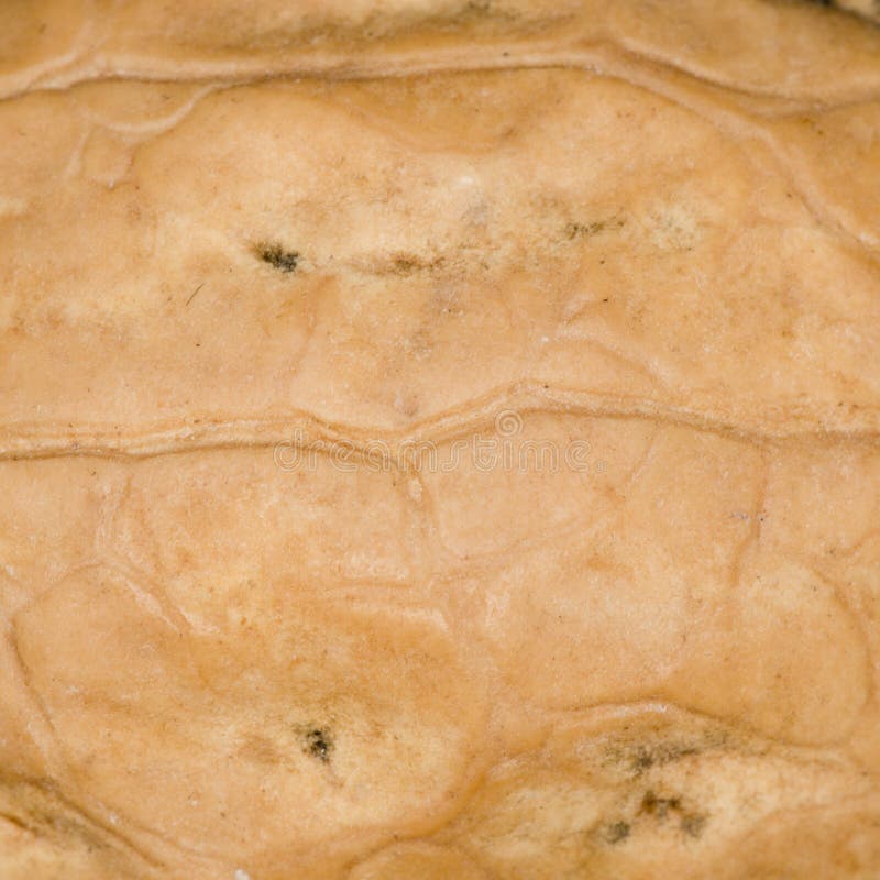 Wood pattern stock photo. Image of cook, energy, chinese - 37040680