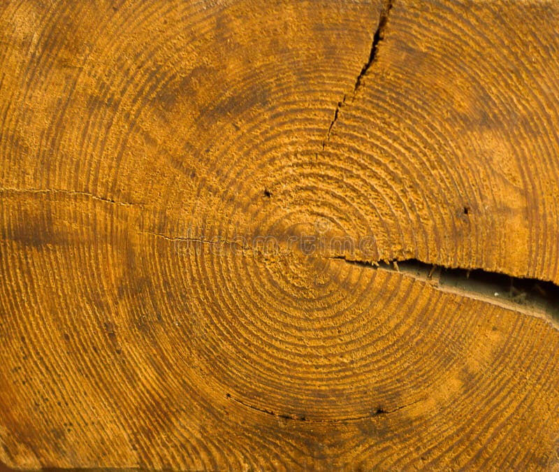 Wood Pattern from Real Wood. Stock Image - Image of material, wood ...