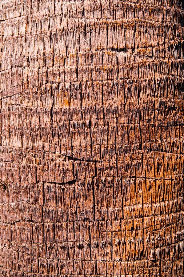Wood Pattern Texture stock image. Image of colorful, paper - 93227847