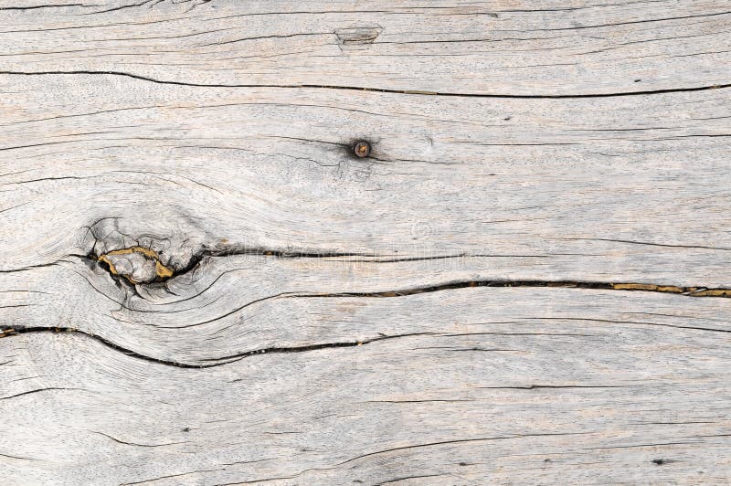 Wood Pattern Trunk Texture stock photo. Image of texture - 37958094