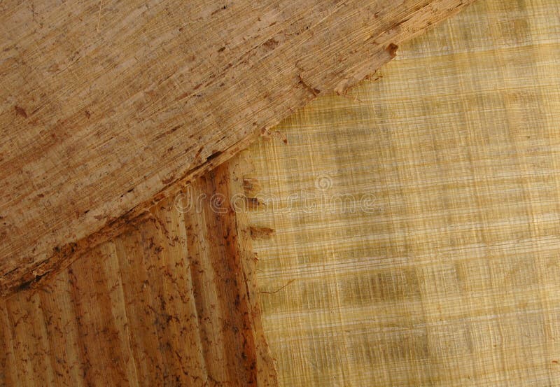 Wood patterned paper 8 stock photo. Image of terrestrial - 516186