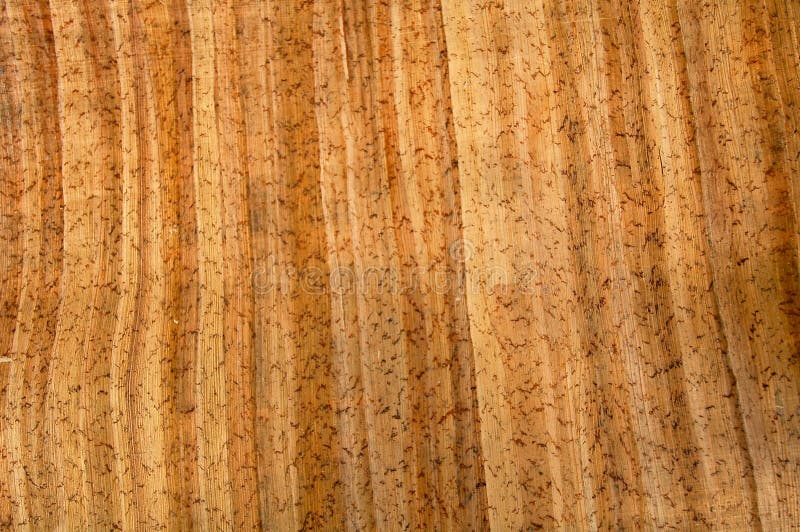 Wood patterned paper 7 stock image. Image of design, decoupage - 516185