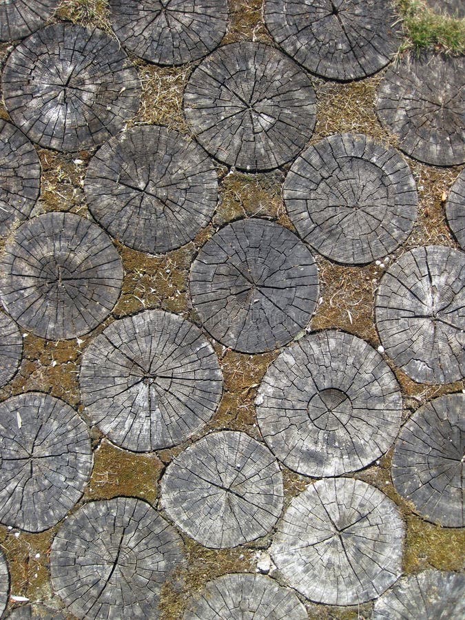 Timber stock image. Image of hardwood, hard, design, floor - 15606895