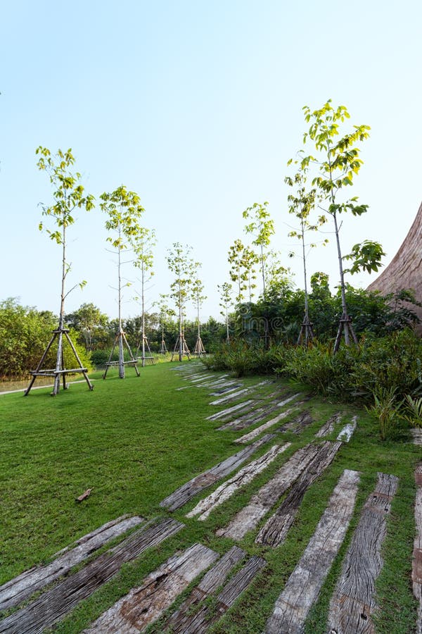 Wood pavement in Park stock image. Image of walkway, walk - 70125105