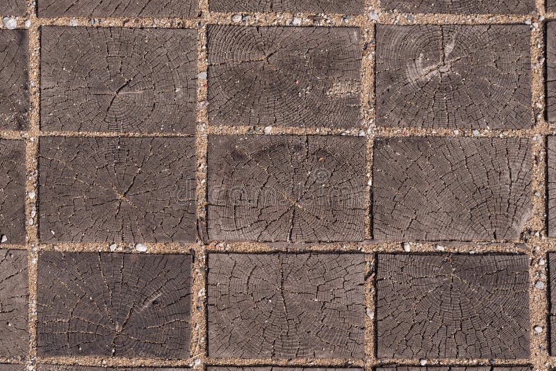 Wood pavers, texture stock photo. Image of building - 170089750