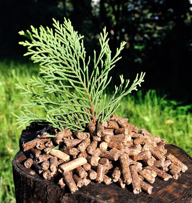 Wood Pellets for Ecological Heating of the House Stock Image - Image of ...