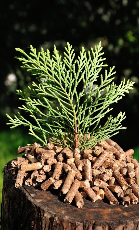 Wood Pellets for Ecological Heating of the House Stock Image - Image of ...