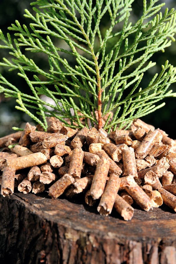 Wood Pellets for Ecological Heating of the House Stock Photo - Image of ...