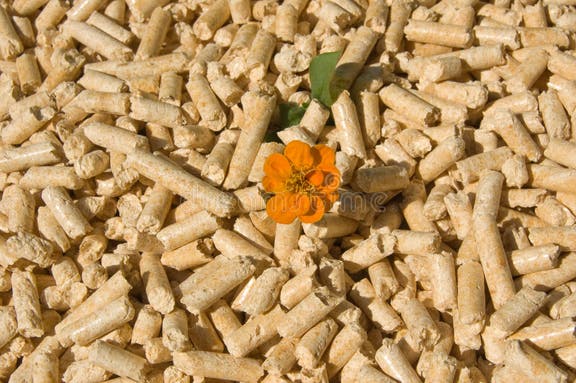 Wood pellets and flower stock image. Image of forest, closeup - 6228431