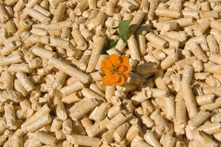 Wood pellets and flower stock image. Image of forest, closeup - 6228431