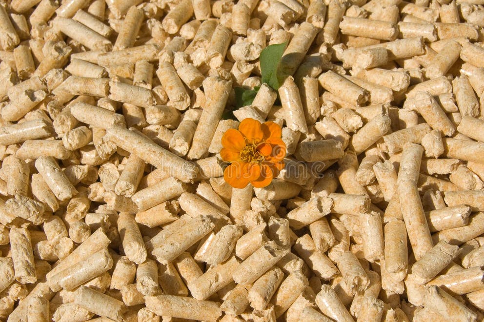 Wood pellets and flower stock image. Image of forest, closeup - 6228431