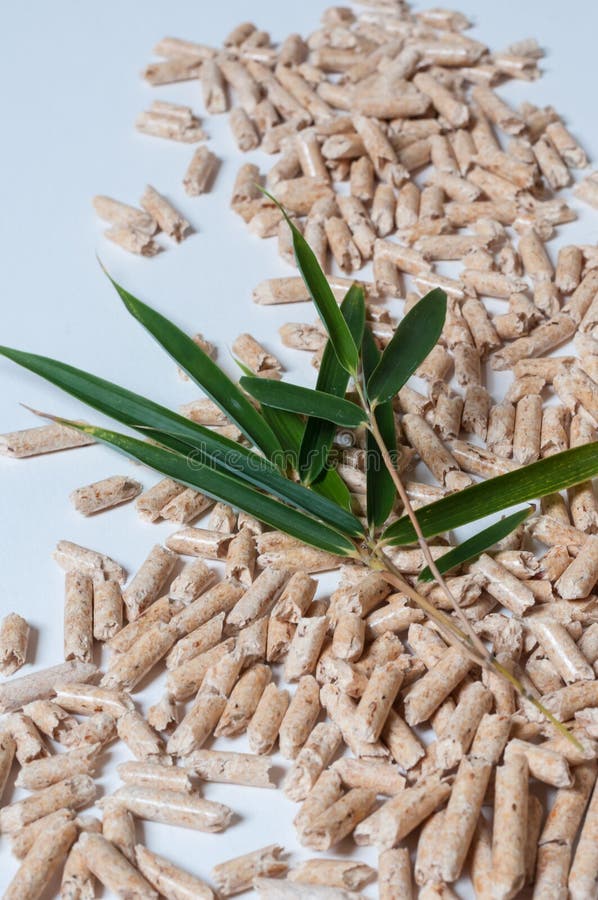 Wood Pellets for Heating and Green Leaves Stock Photo - Image of energy ...