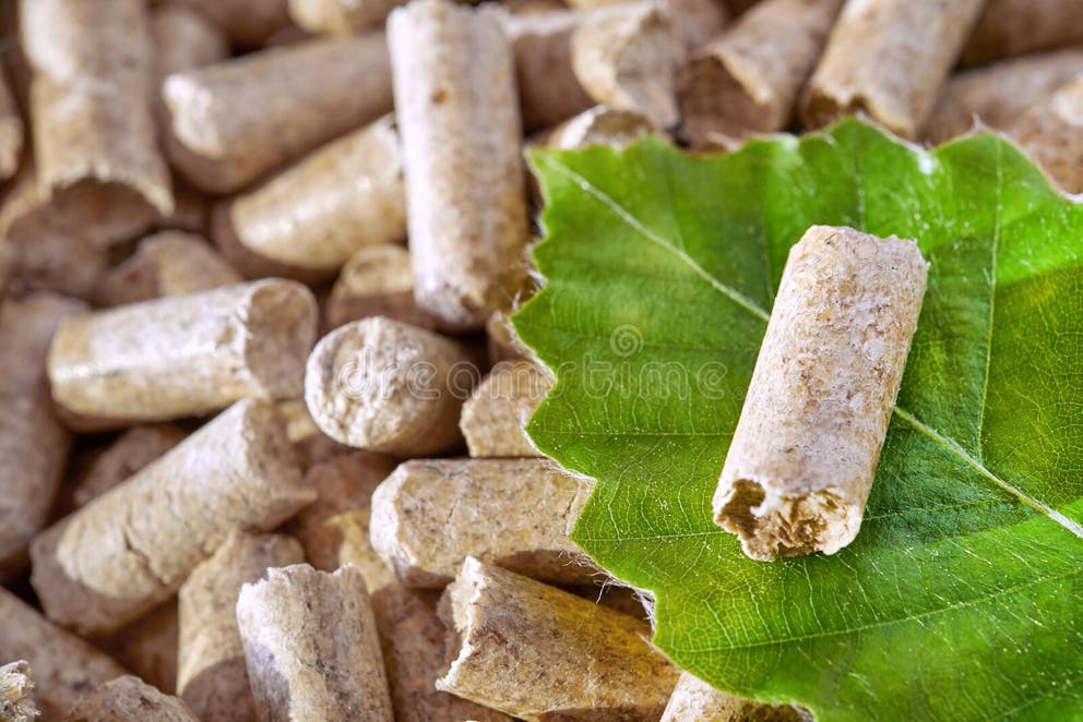 Beech Wood Pellet Leaf Green Stock Photos - Free & Royalty-Free Stock ...