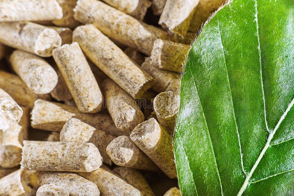 Beech Wood Pellet Leaf Green Stock Photos - Free & Royalty-Free Stock ...