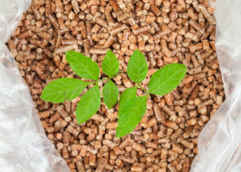 Wood Pellets in a Sack with Tree Sapling Stock Photo - Image of tree ...