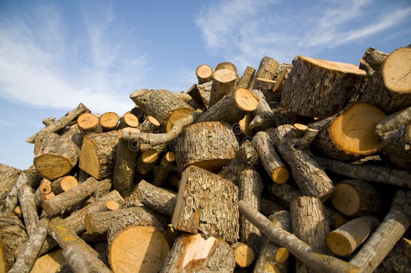 Pile Of Cut And Prepared Wood Planks, Beams And Pieces Editorial Image ...