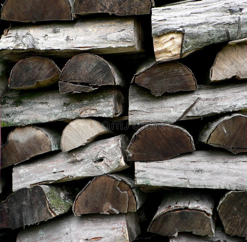 Wood pieces stock photo. Image of pile, tree, hacked, piece - 2783476
