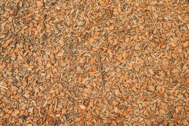 Wood Pieces stock photo. Image of pieces, pattern, background - 60379244