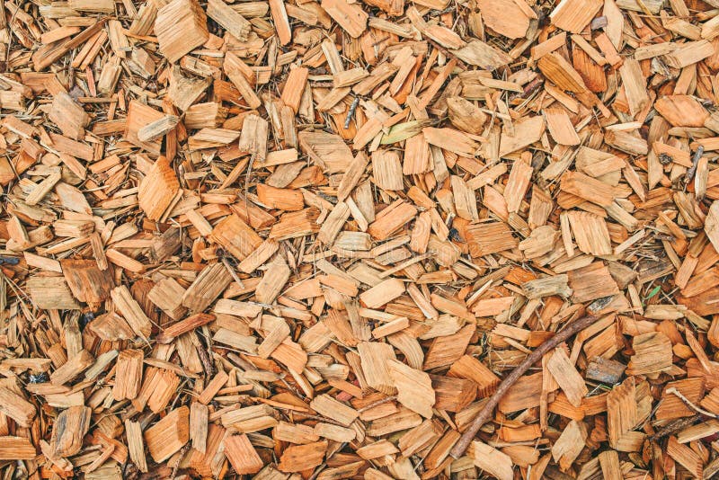 Wood Pieces stock photo. Image of backgroundn, texture - 60380088