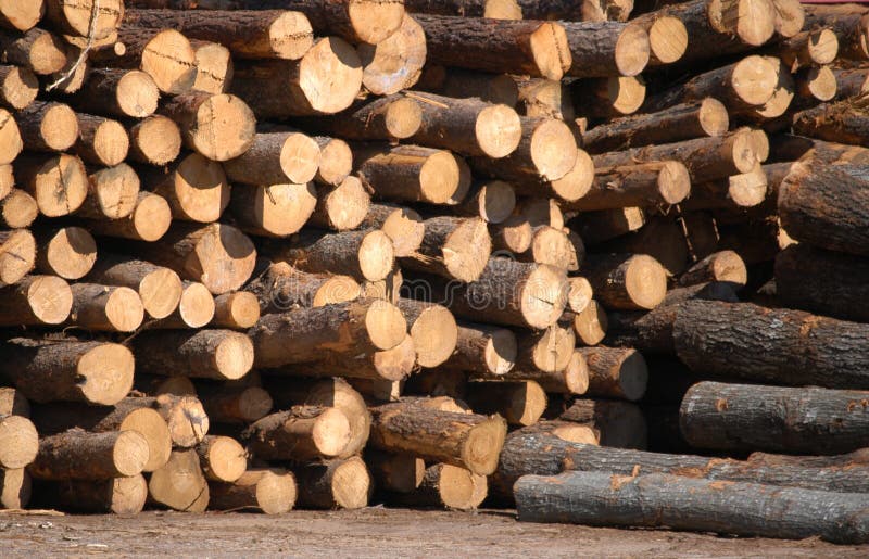 Wood pile stock photo. Image of lumber, round, work, logging - 2033658