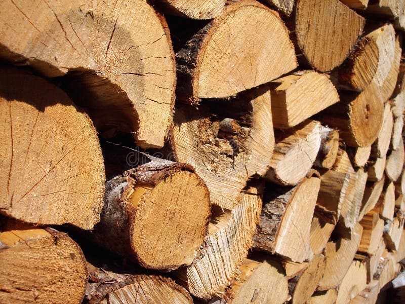 Wood Pile stock image. Image of timber, fuel, tree, birch - 223267