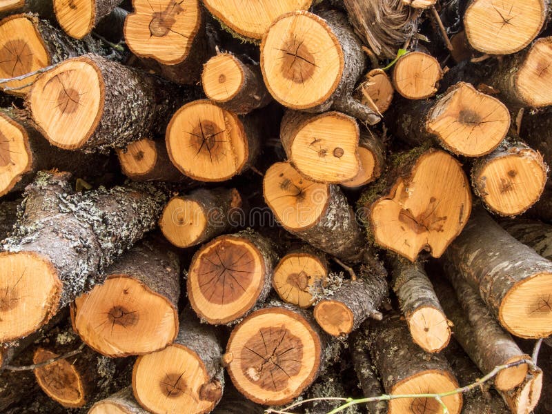 Wood Pile stock image. Image of stove, fuel, snake, timber - 310321
