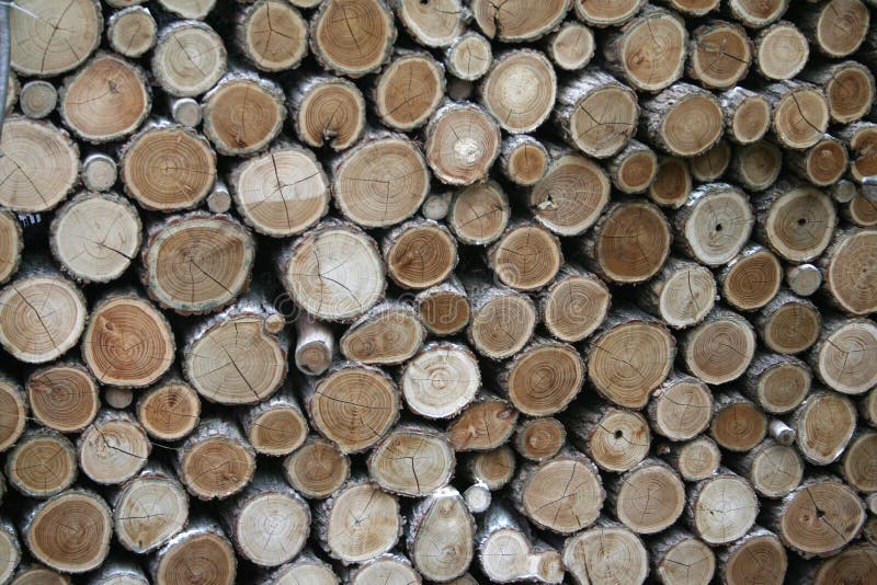 Wood pile stock photo. Image of trees, fire, warm, wood - 641388