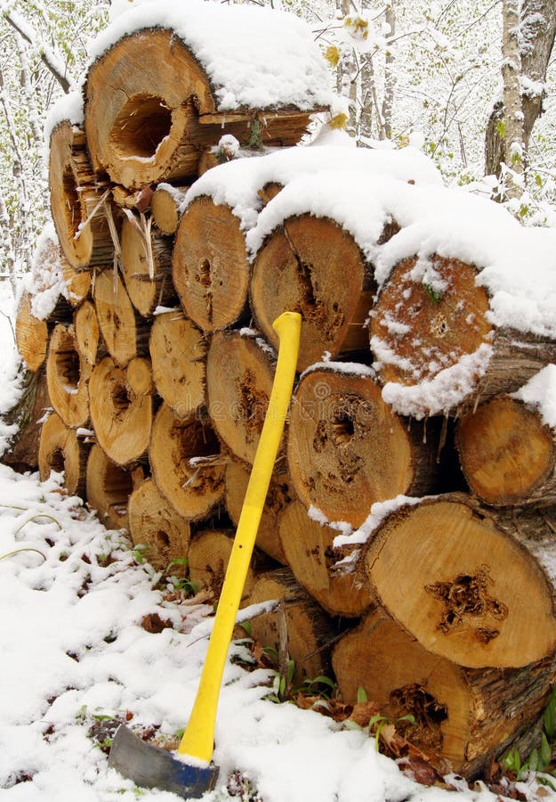 Wood Pile with Ax stock photo. Image of tree, chop, survival - 14939540