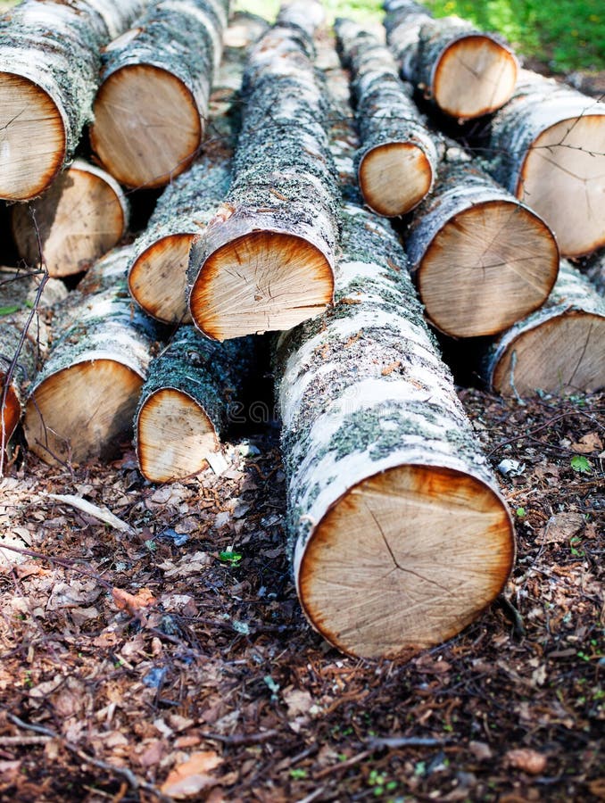 Wood pile stock image. Image of sawed, ring, industrial - 41474669
