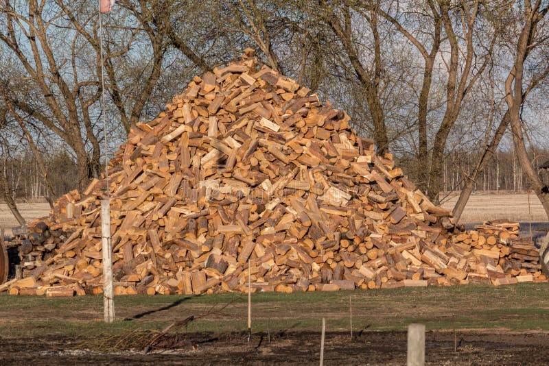 Wood pile stock image. Image of piled, sawmill, environment - 56291491