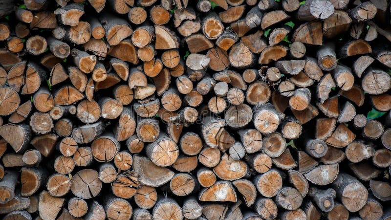 Wood pile, stack of wood stock photo. Image of farming - 157277432