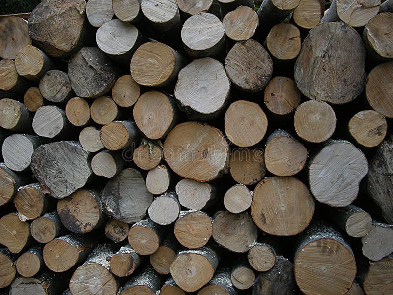 Wood pile texture stock photo. Image of design, stack - 125236600