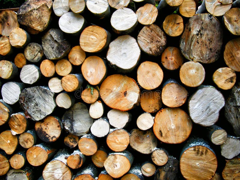 Wood pile texture stock photo. Image of board, forestry - 125692862