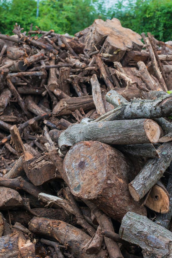 Pile Of Tree Branch, Wood Stick Stock Photo - Image of dump, heap: 51484854