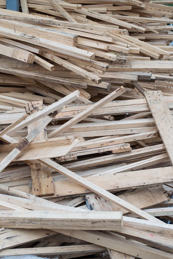 Wood pile of tree branch stock photo. Image of nature - 60699176