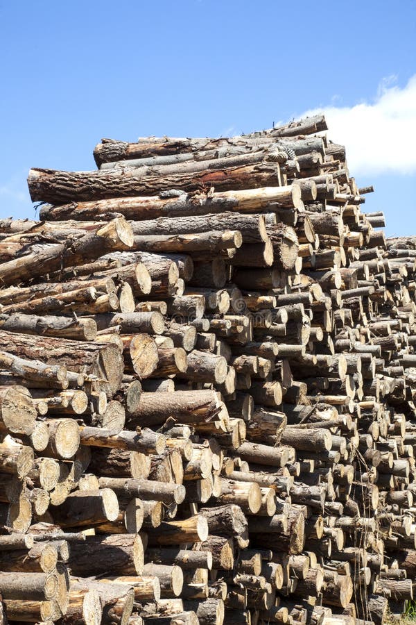 Wood piled stock image. Image of ecology, deforestation - 26453645