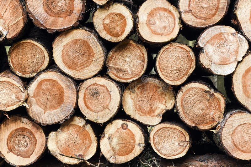 .Wood Texture, Wooden Texture Lamellas Stock Image - Image of deck ...