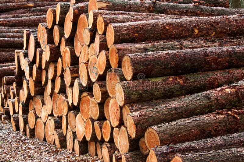 Wood piles stock image. Image of fuel, natural, rough - 15973773