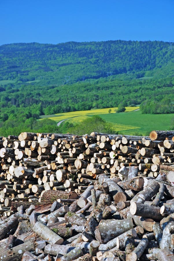 Wood piling up stock image. Image of construction, environment - 22512919
