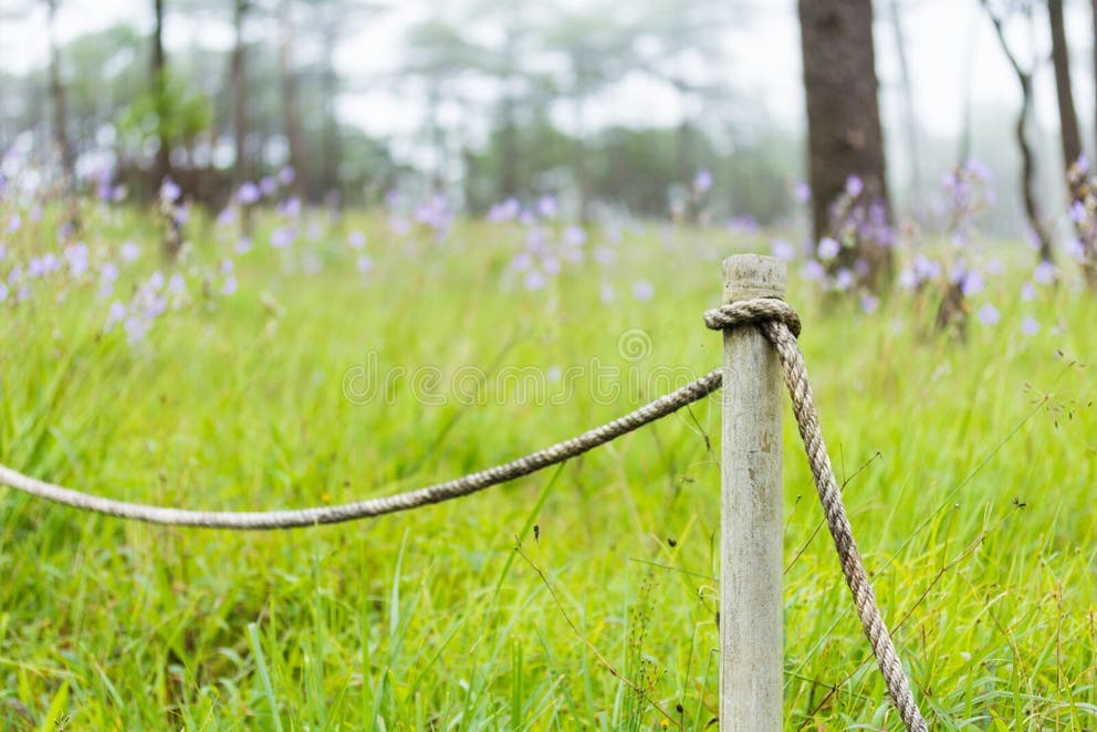 Wood pillar stock photo. Image of pillar, trekking, rope - 67644578
