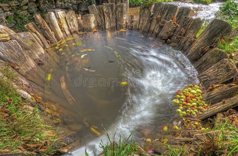 Wood Pit with Water and Apples Stock Image - Image of fall, grass: 34485603