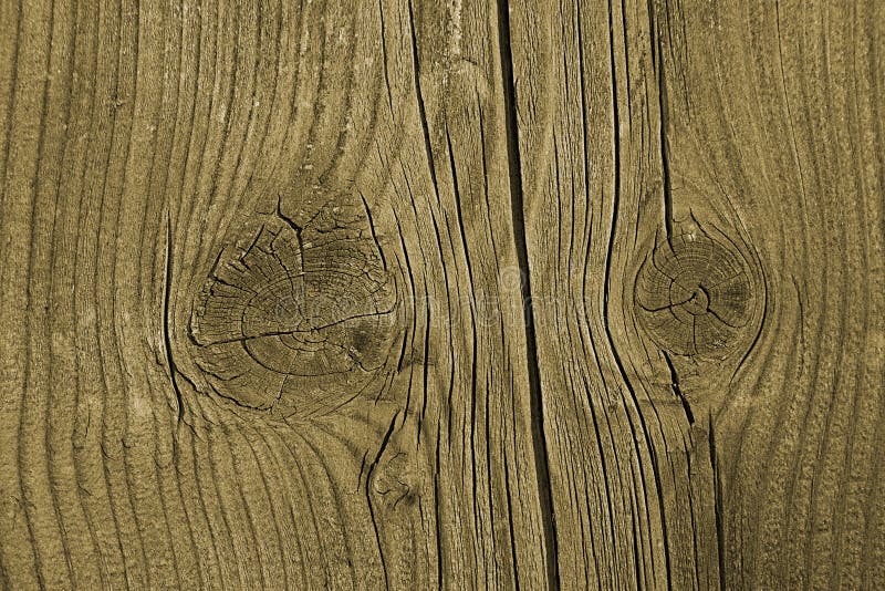 Wood plank stock photo. Image of rustic, tree, plank, carpentry - 4759410