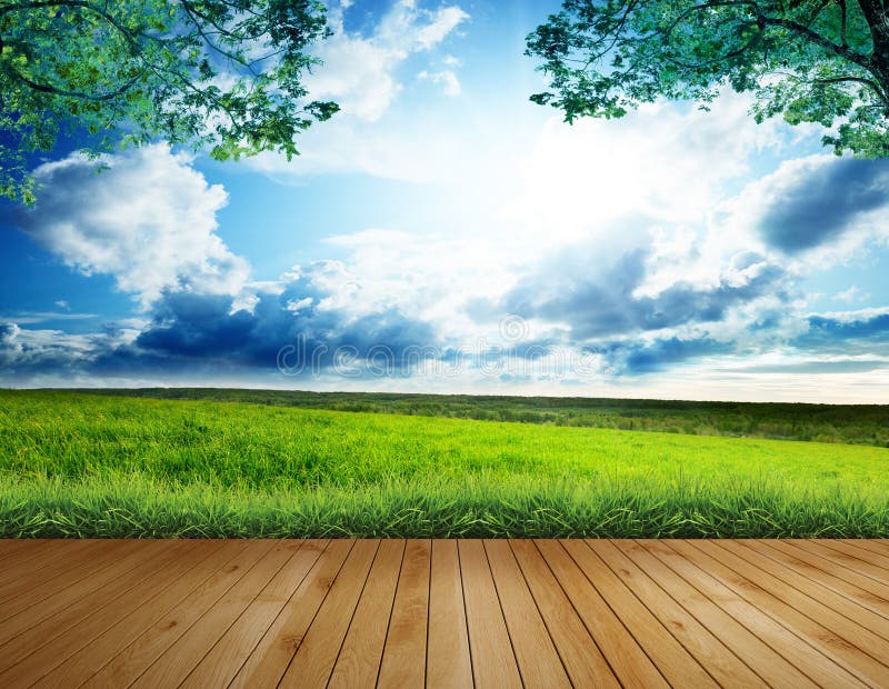 Wood plank on green fields stock photo. Image of plank - 59626442