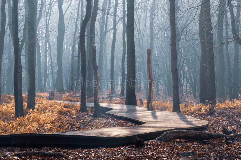 Esther Derksen (Estherhderksen) - Photographer profile